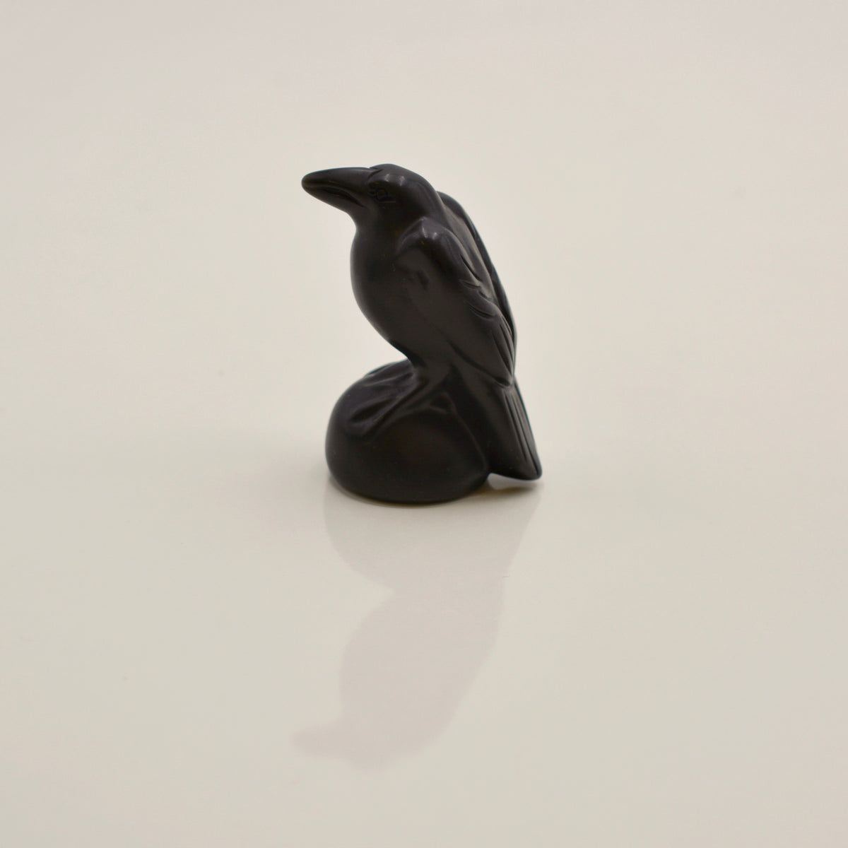 Black Obsidian Crow | ASCEND